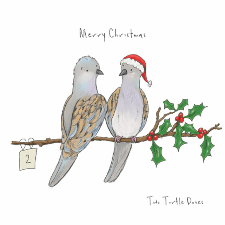 Turtle doves | HVPSLDC2 | Christmas Cards