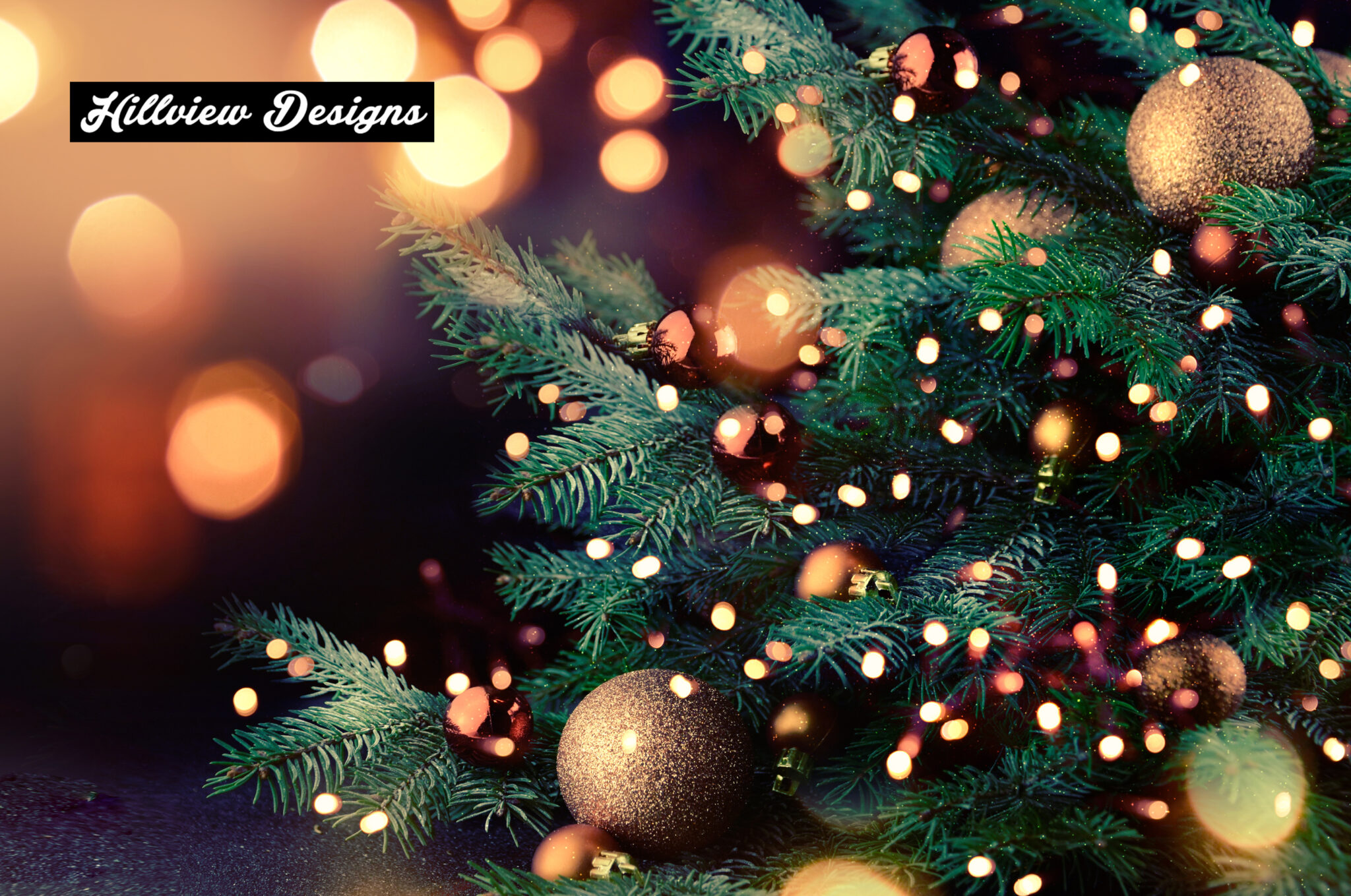 Tree Delights | HVPL1530 | Christmas Cards